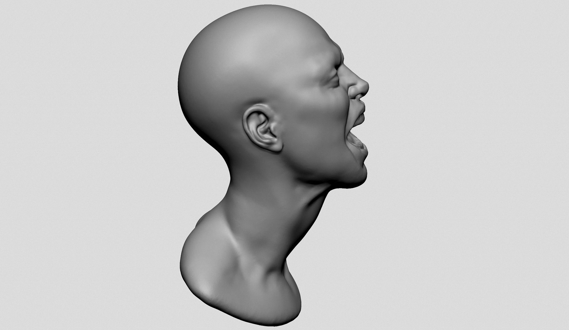 Female head anatomy 3D - TurboSquid 1572312
