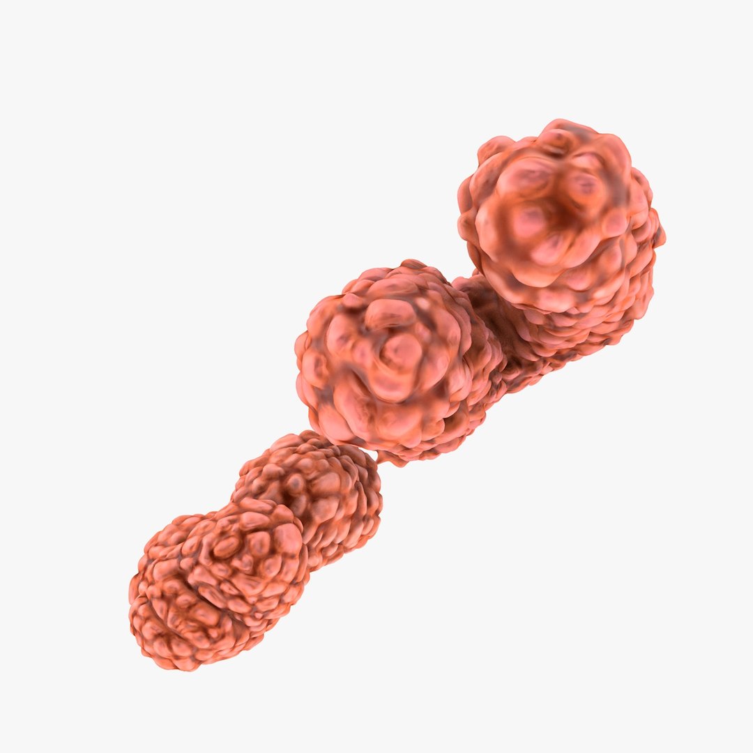 X Chromosome 3D - TurboSquid 1170279
