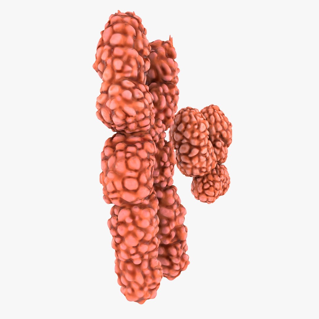 X Chromosome 3D - TurboSquid 1170279