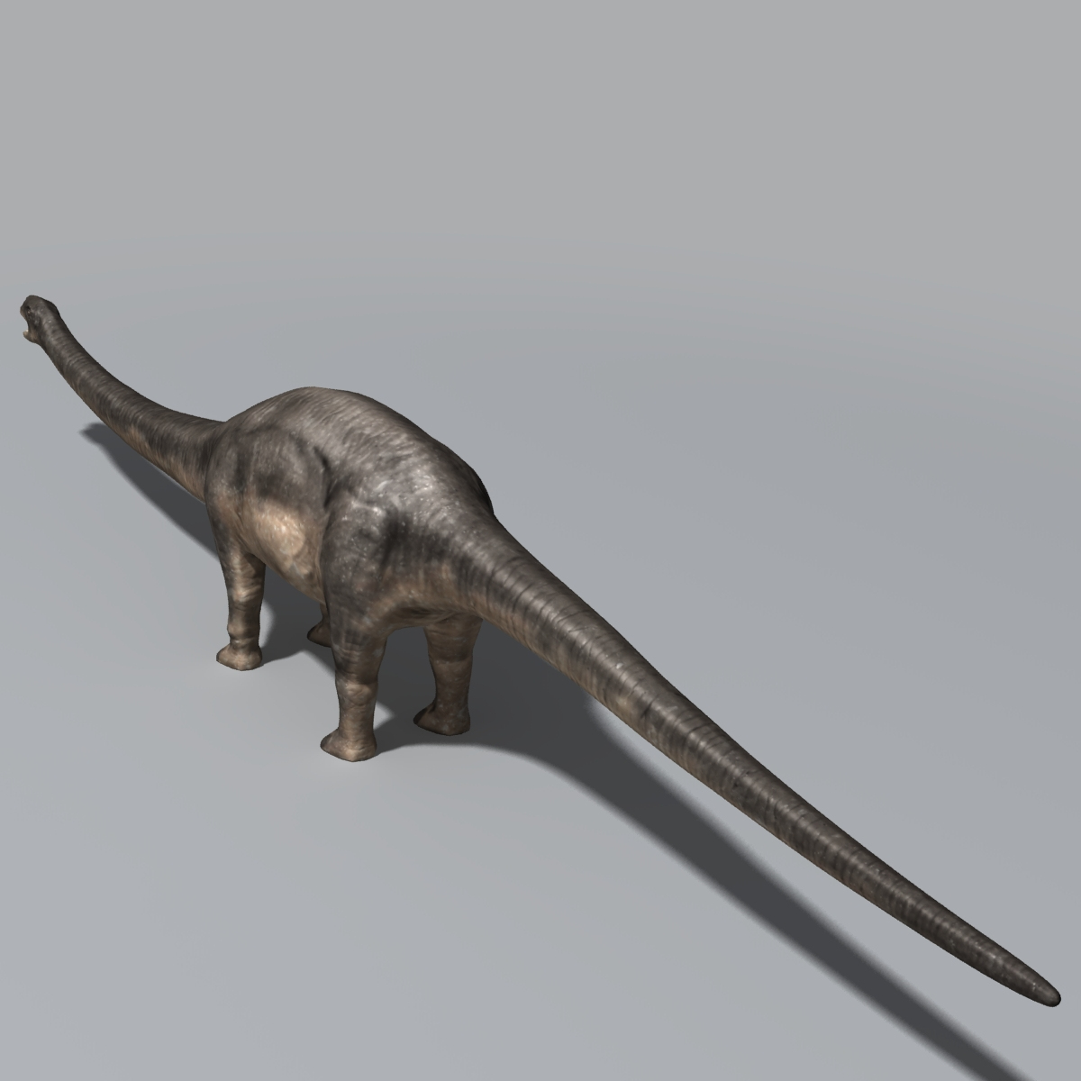 sauropods dinosaur 3d max
