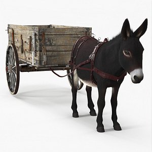 Download Free & Premium Donkey 3D Models | TurboSquid