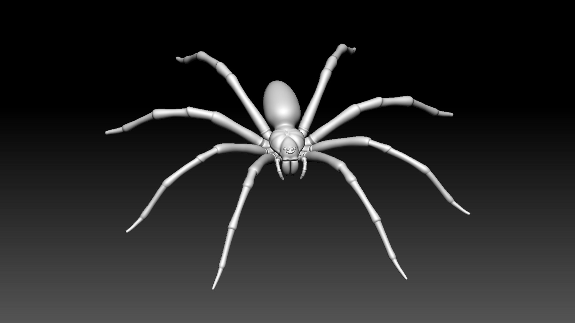 Fishing Spider Model - TurboSquid 2151950