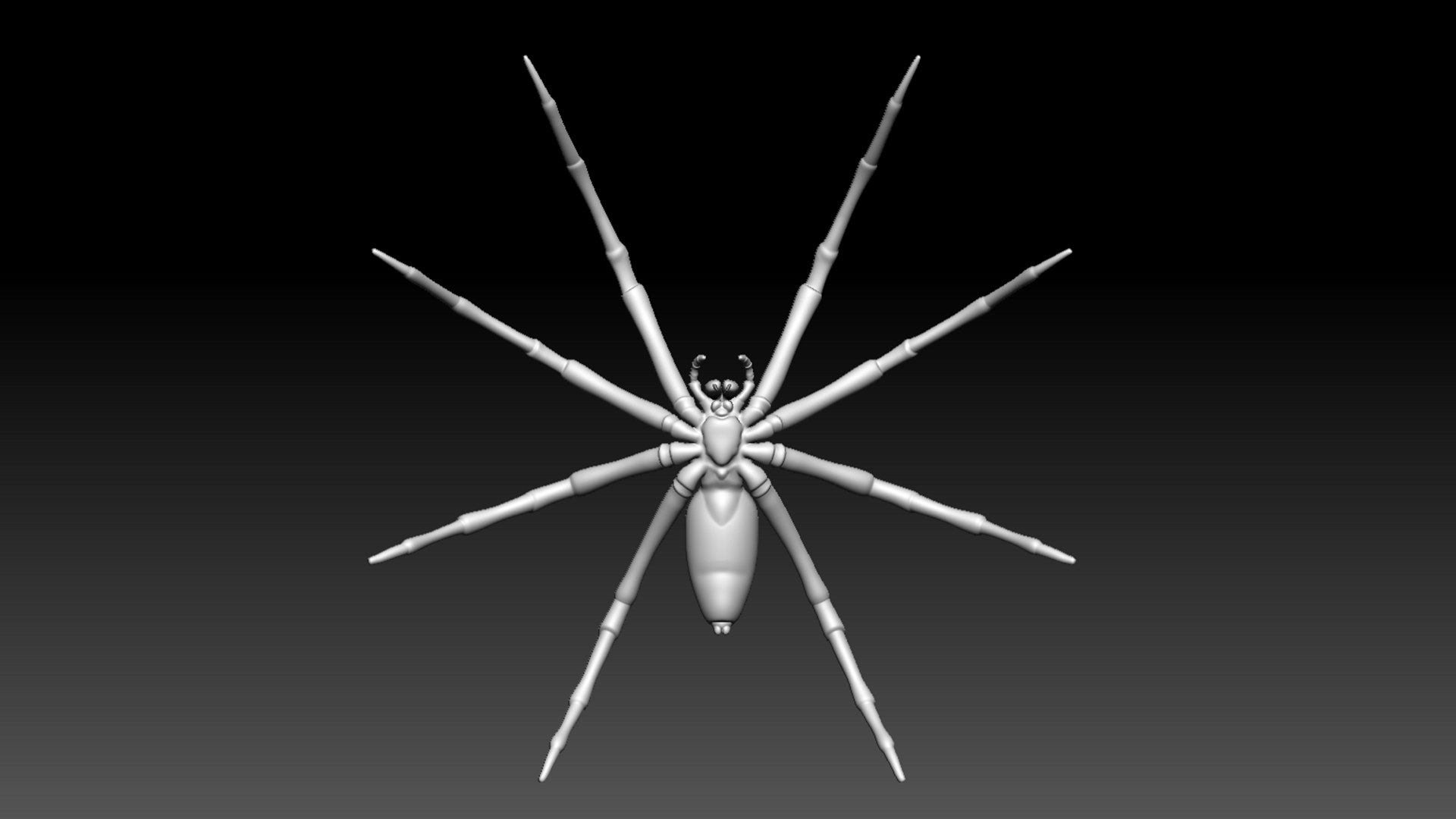Fishing Spider Model - TurboSquid 2151950