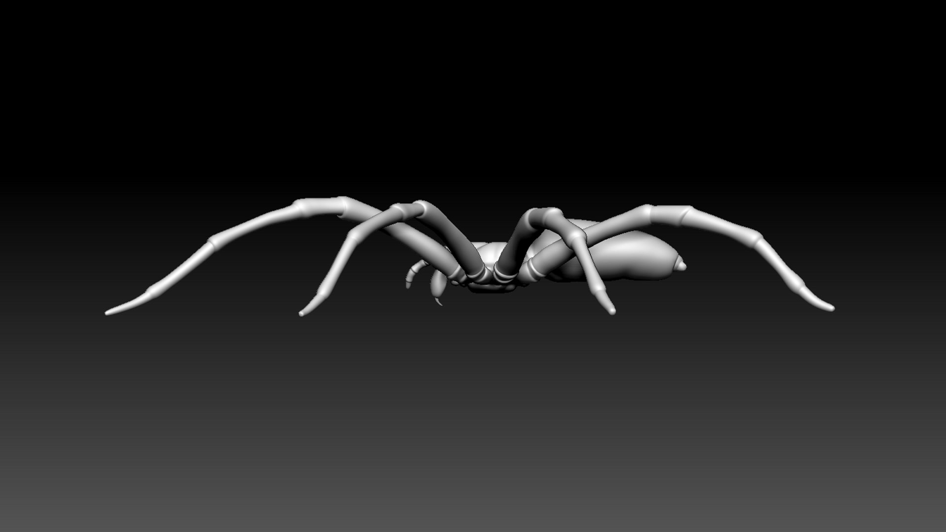 Fishing Spider Model - TurboSquid 2151950