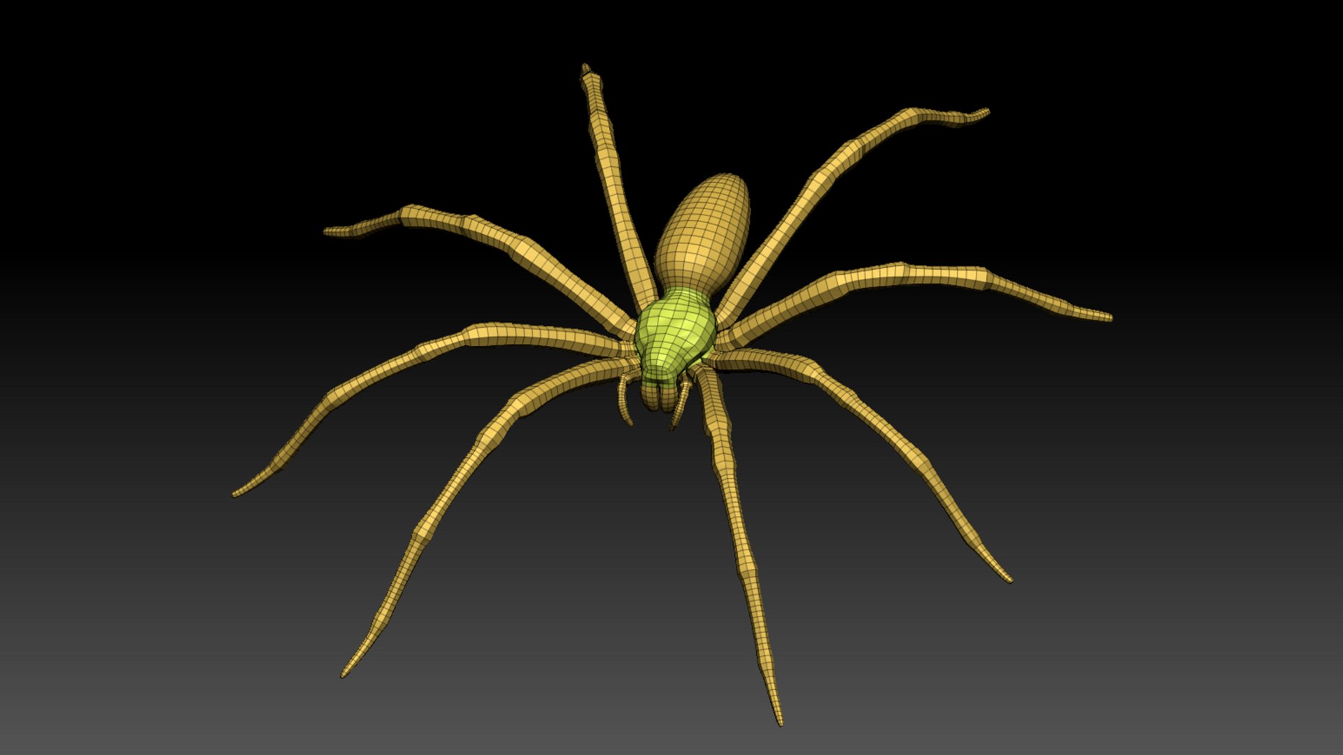 Fishing Spider Model - TurboSquid 2151950