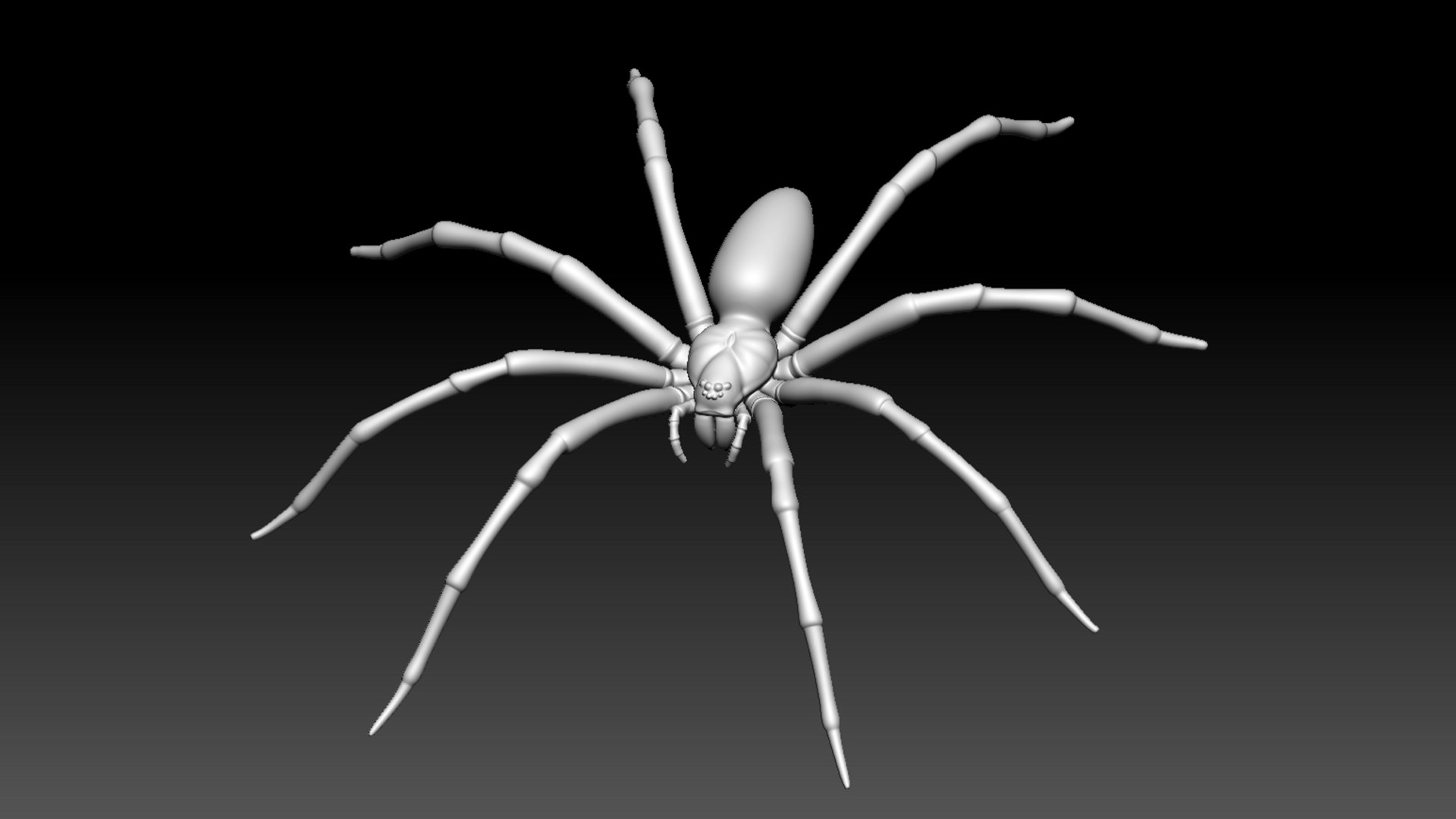 Fishing Spider Model - TurboSquid 2151950