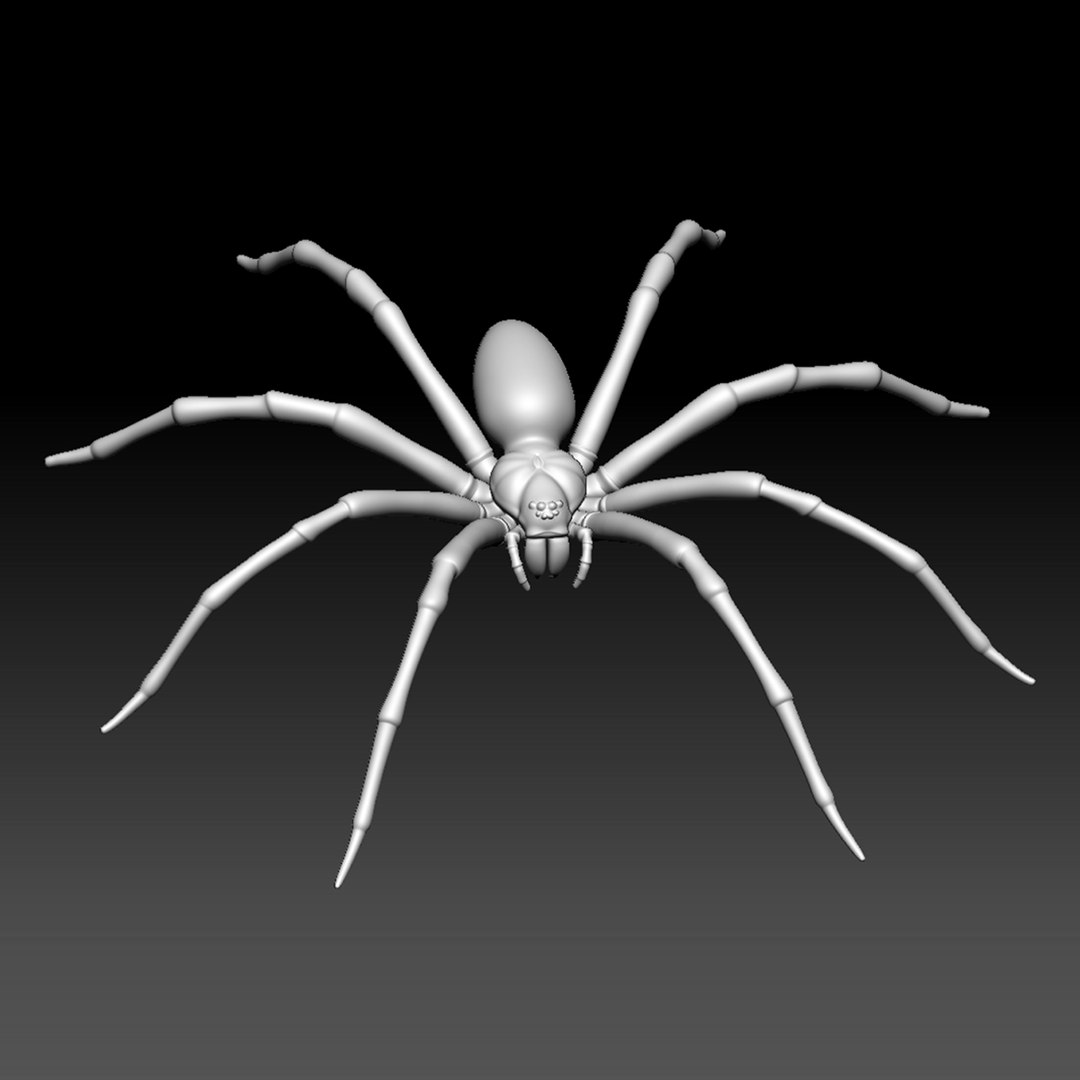 Fishing Spider Model - TurboSquid 2151950
