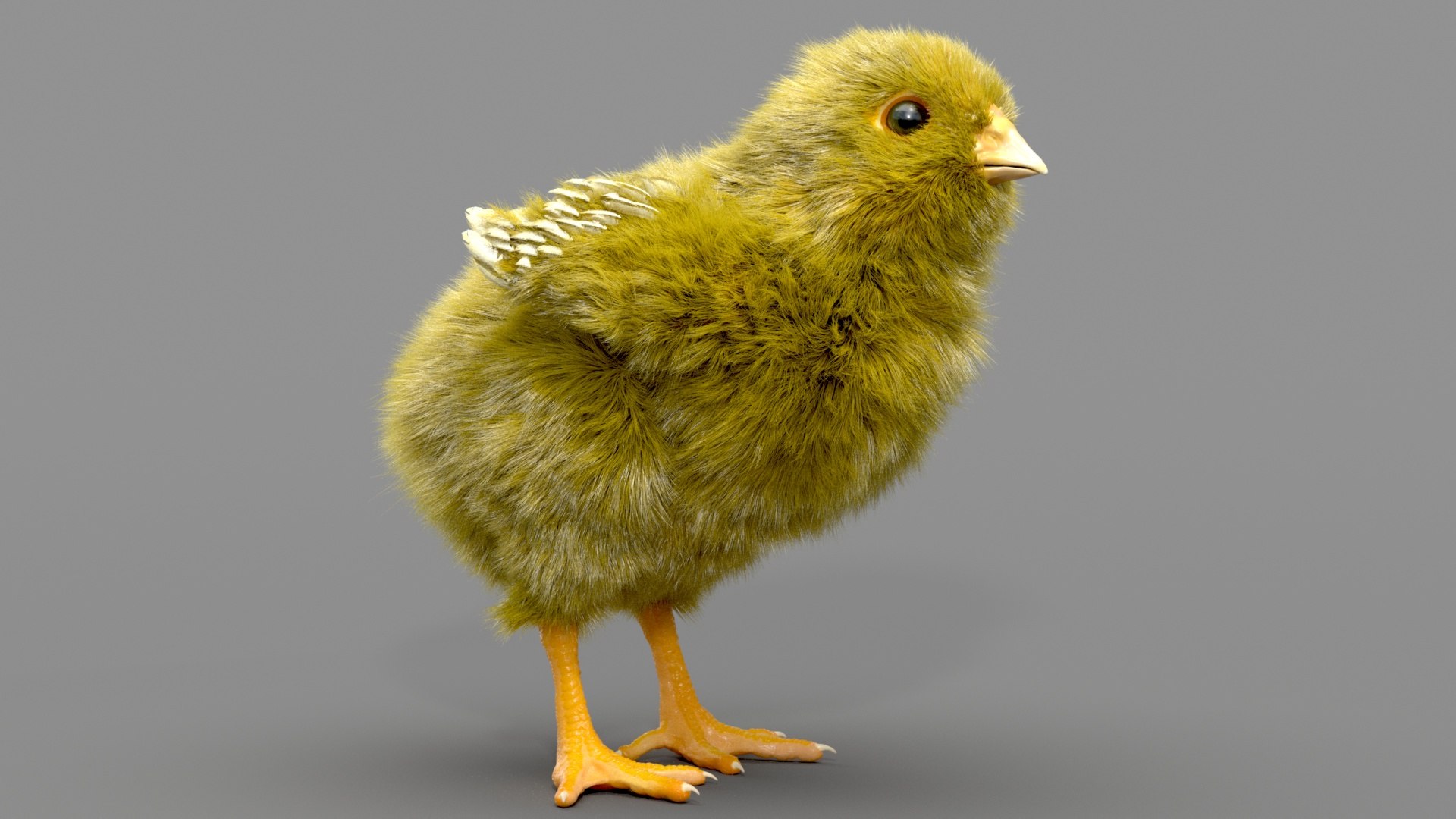 3D Chicken Realistic Hair Model - TurboSquid 1532555