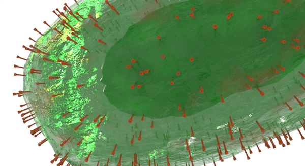 Monkeypox Virus 3D model - TurboSquid 1936088