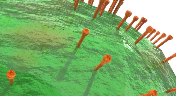 Monkeypox Virus 3D model - TurboSquid 1936088