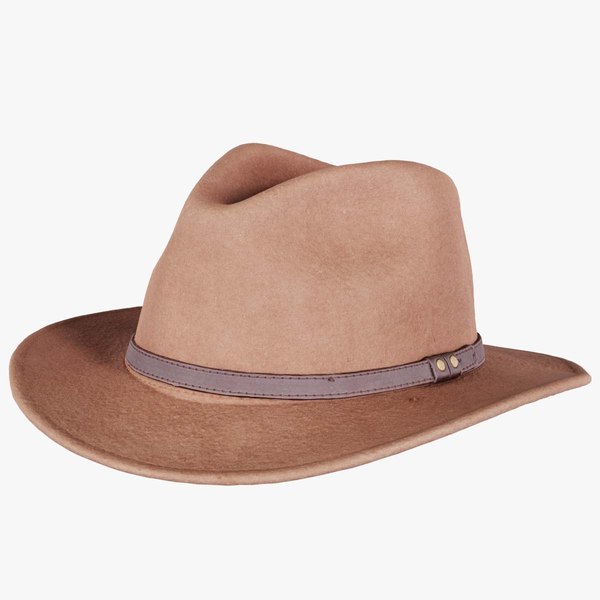 modelo 3d Sombrero con borde remasterizado - TurboSquid 2360088