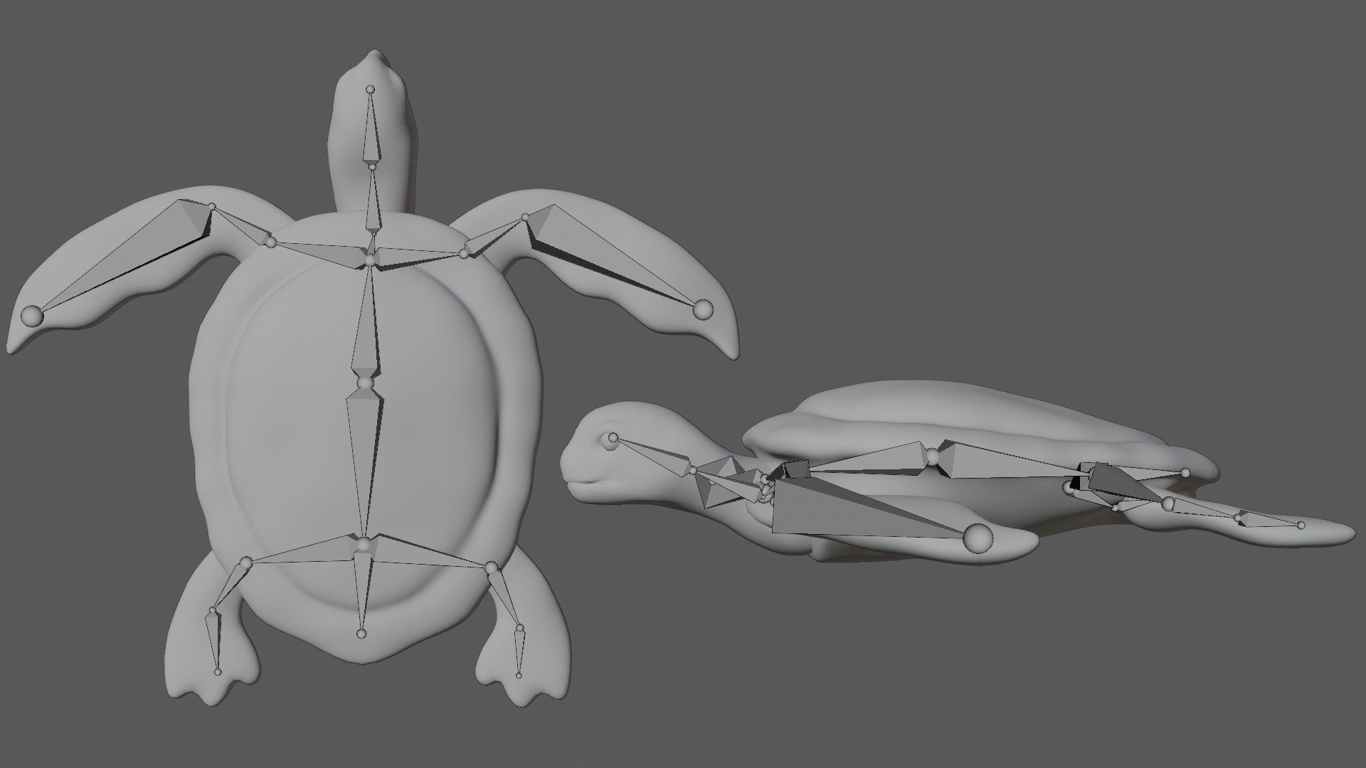 3D Fully Rigged Low Poly Turtle - TurboSquid 1715694