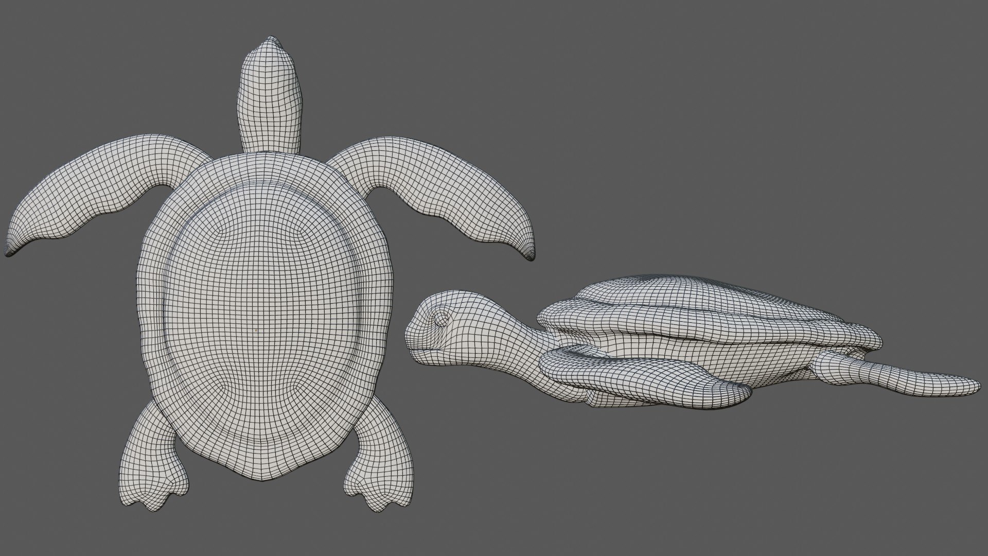 3D Fully Rigged Low Poly Turtle - TurboSquid 1715694