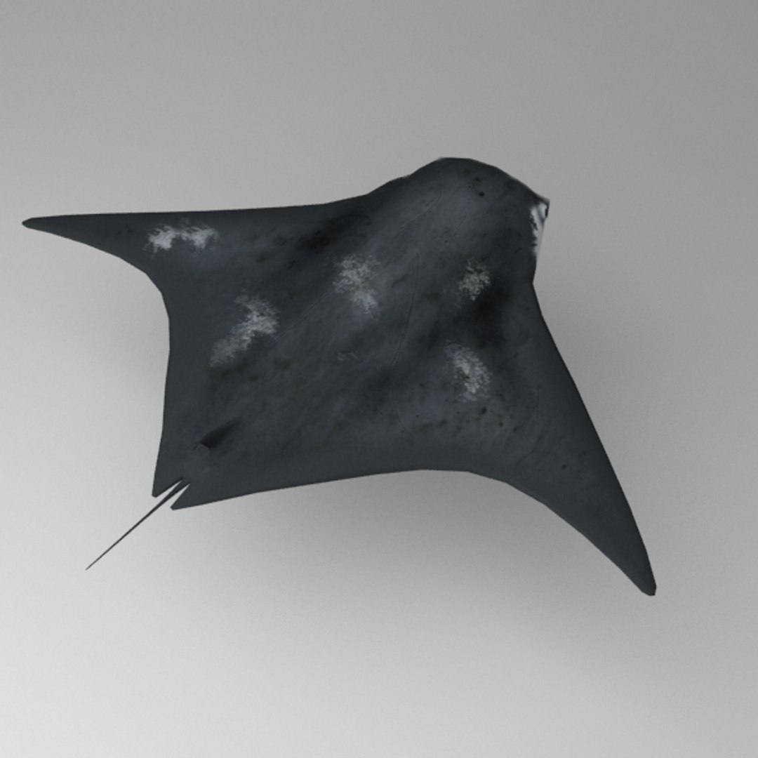 Rigged Manta Animation 3d Max