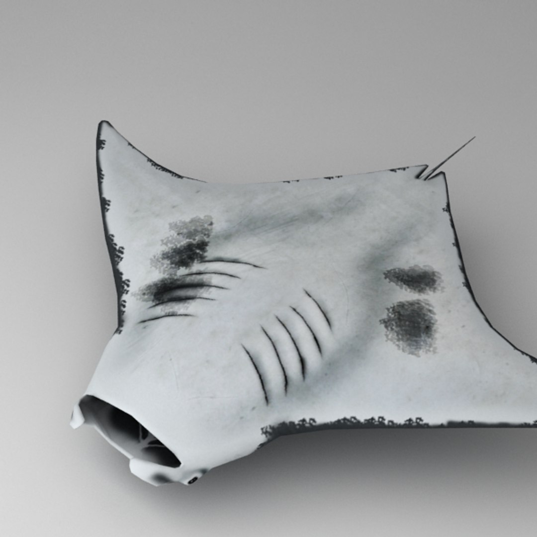 Rigged Manta Animation 3d Max