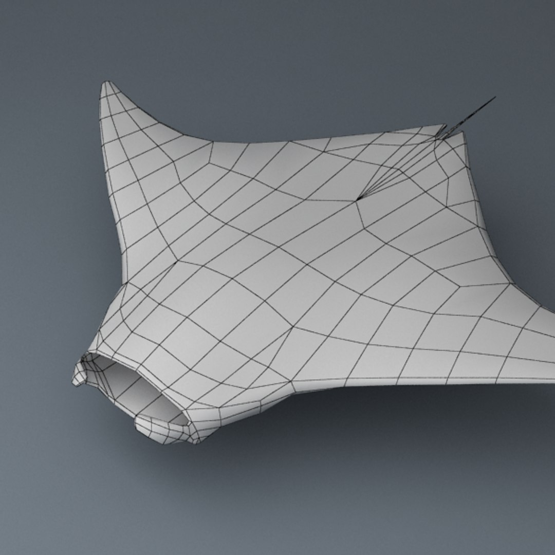 Rigged Manta Animation 3d Max