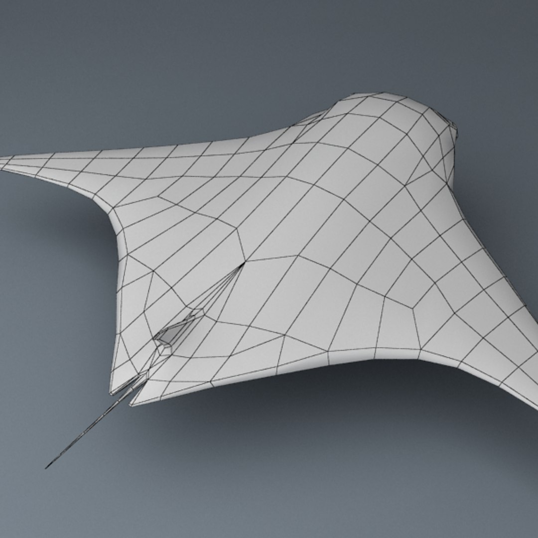 Rigged Manta Animation 3d Max