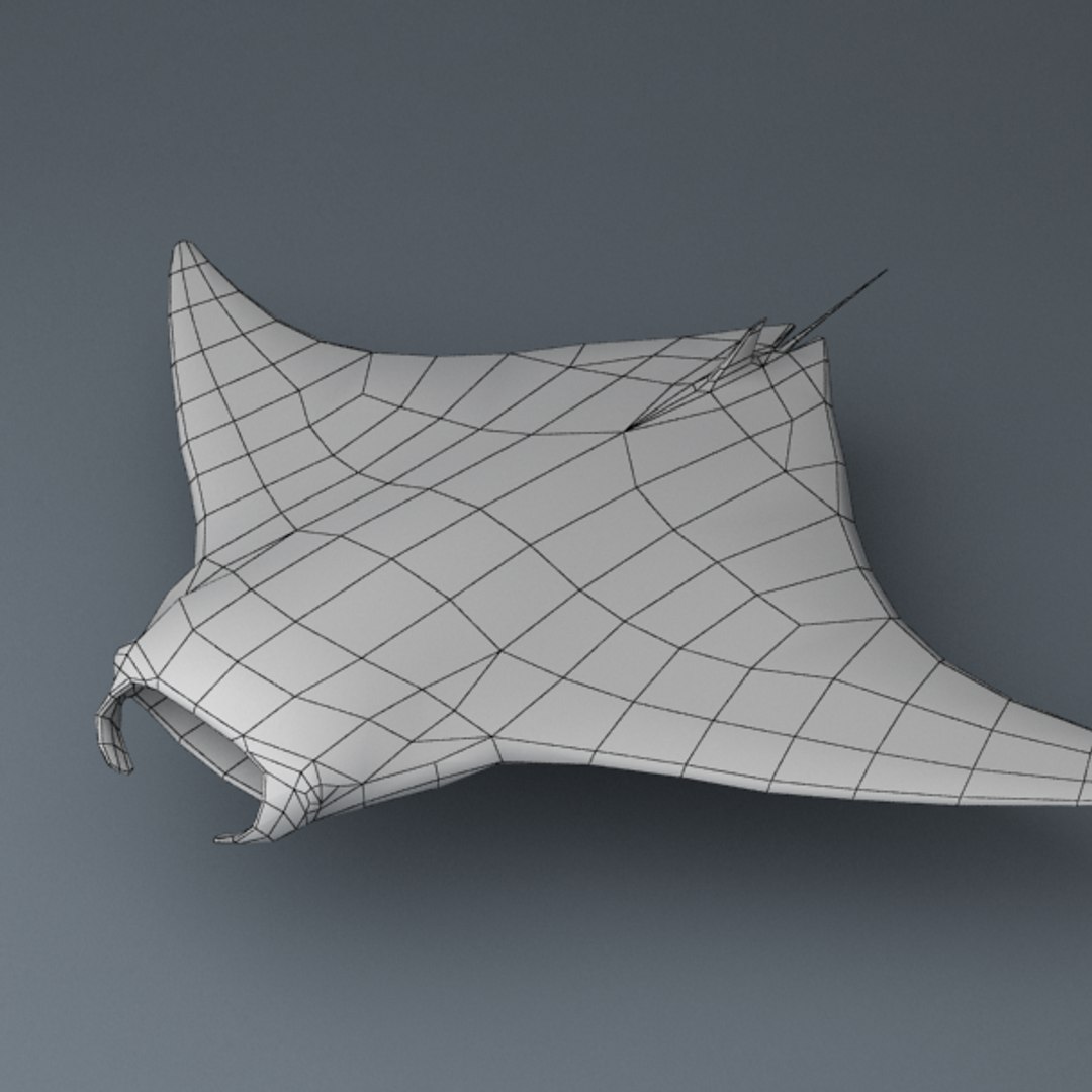 Rigged Manta Animation 3d Max