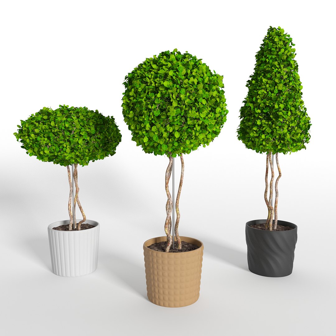 3d 3 Tree Model