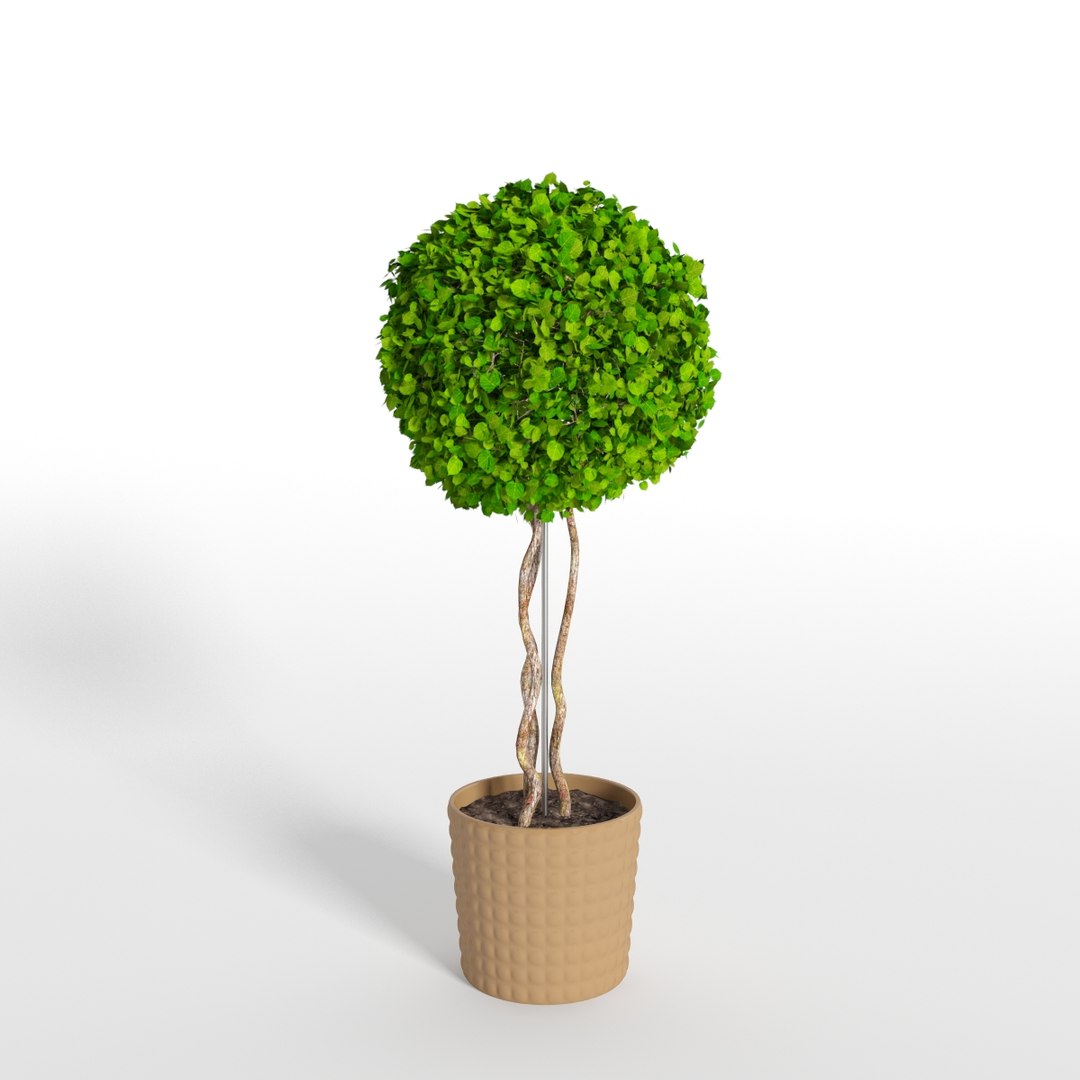 3d 3 Tree Model