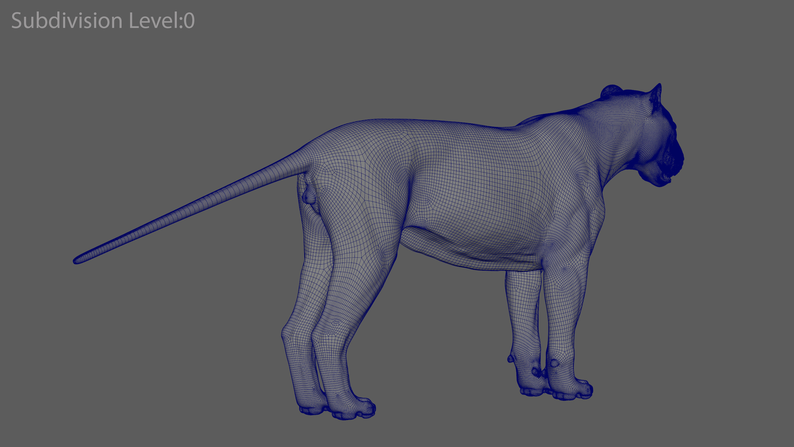 White Tiger RIGGED 3D model - TurboSquid 1729636