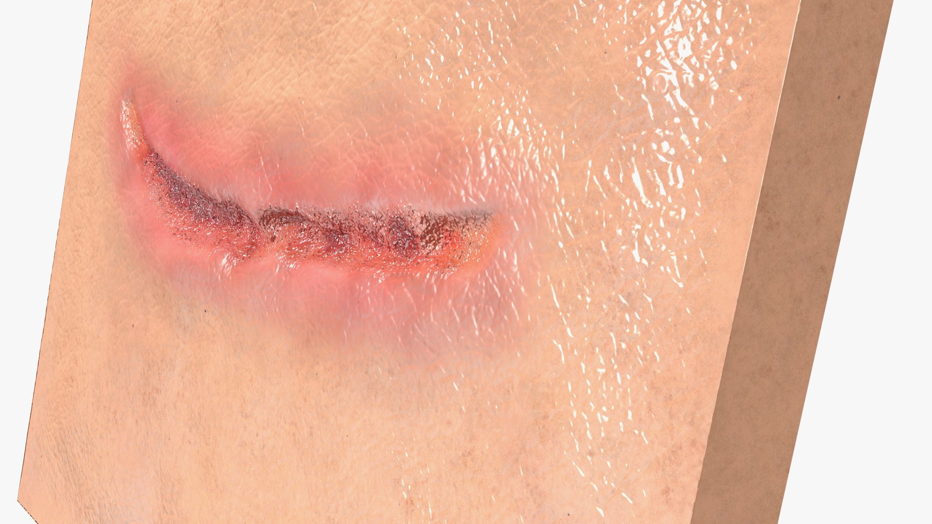 3D Cut Skin Surface - TurboSquid 2162349