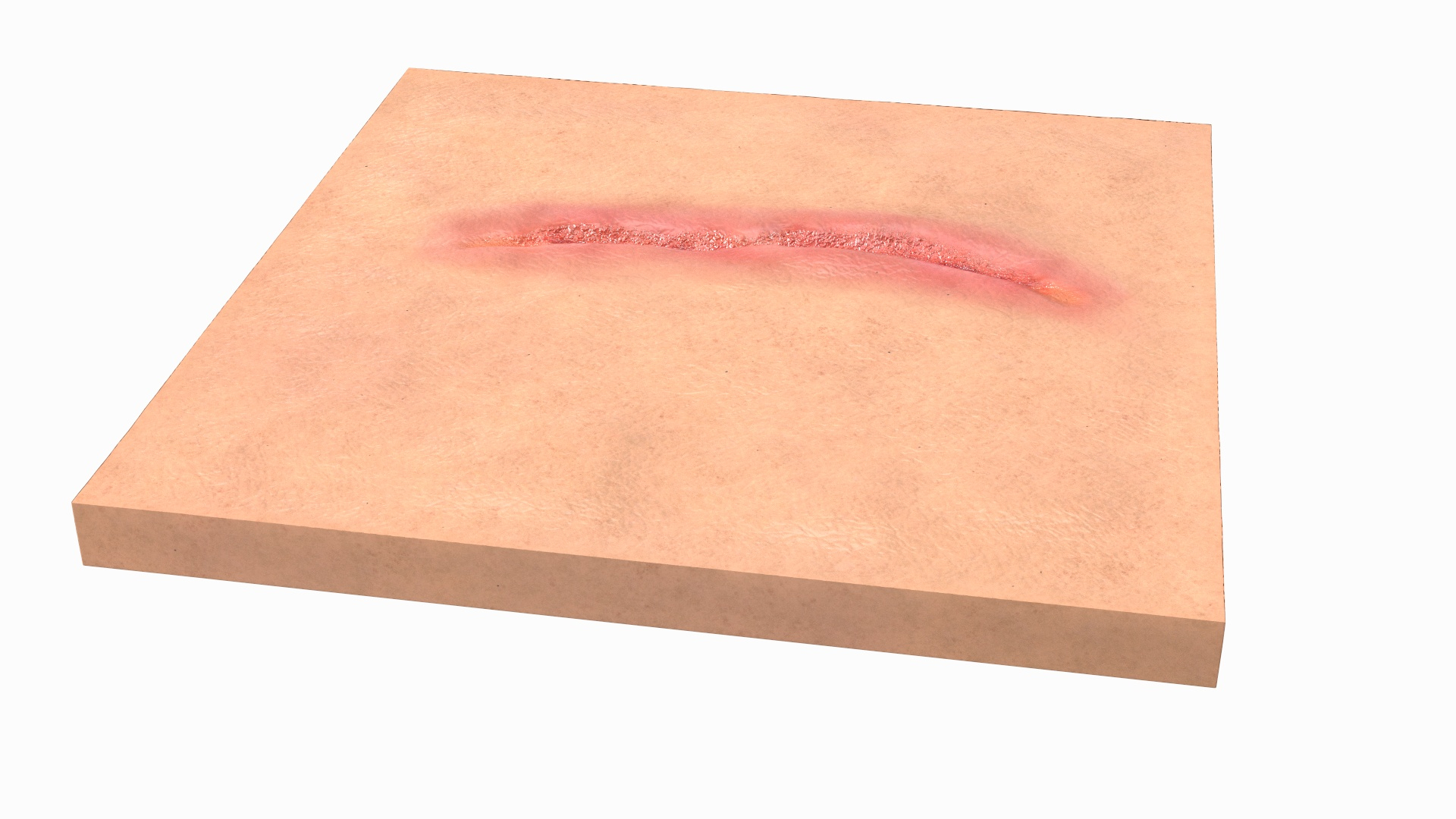 3D Cut Skin Surface - TurboSquid 2162349