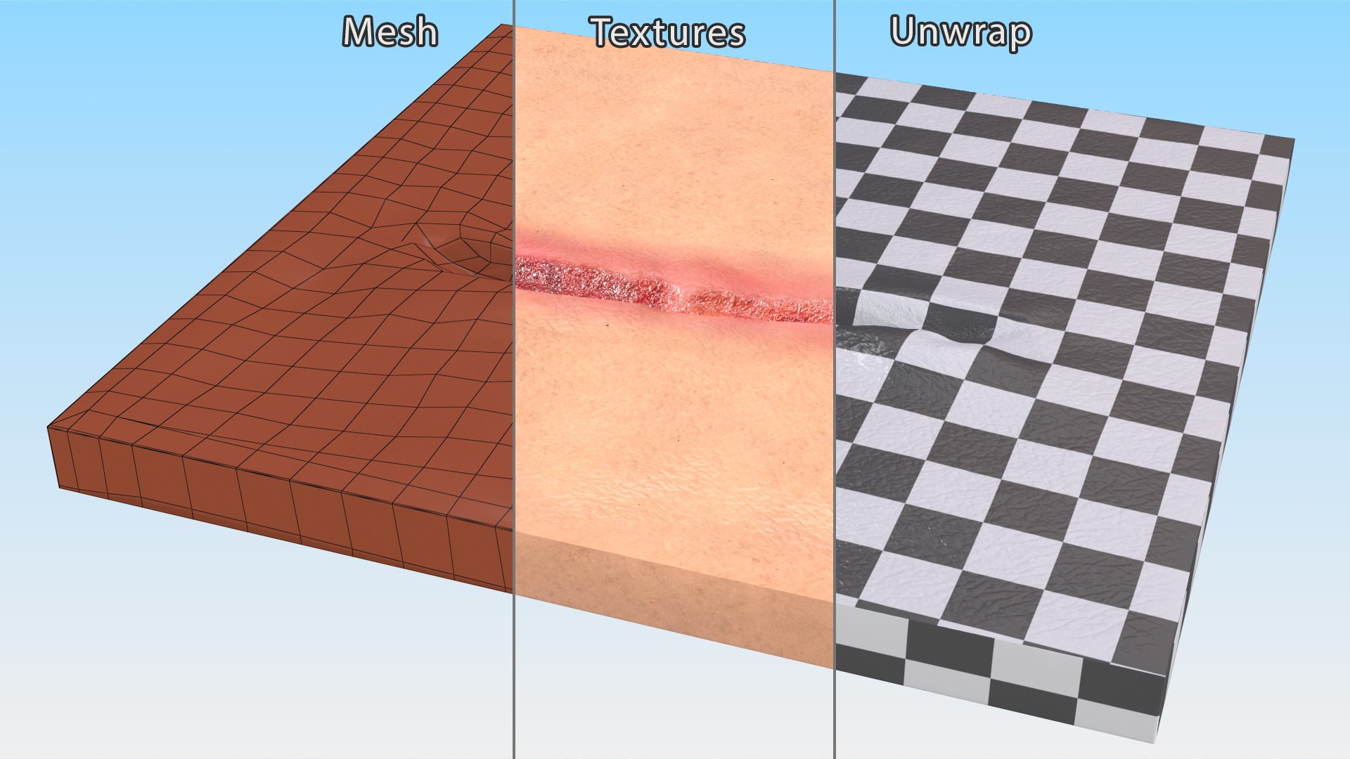 3D Cut Skin Surface - TurboSquid 2162349