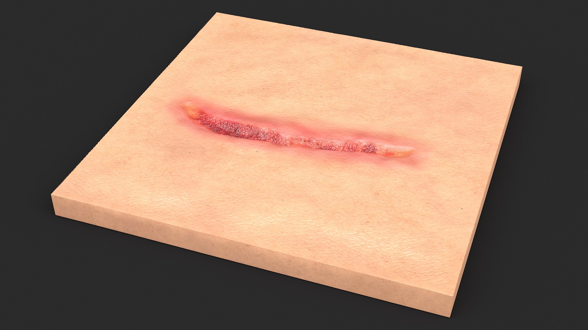 3D Cut Skin Surface - TurboSquid 2162349