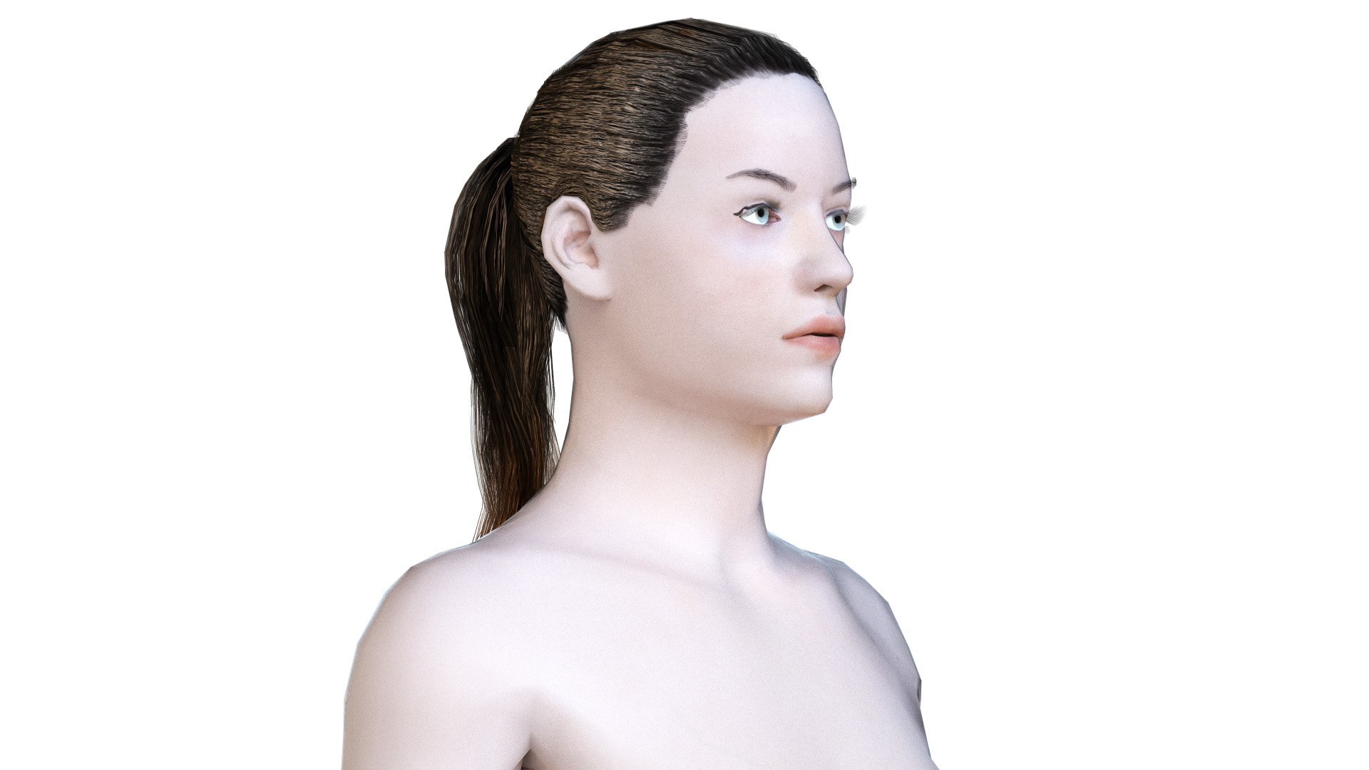 Female body skeleton muscles 3D model - TurboSquid 1524131