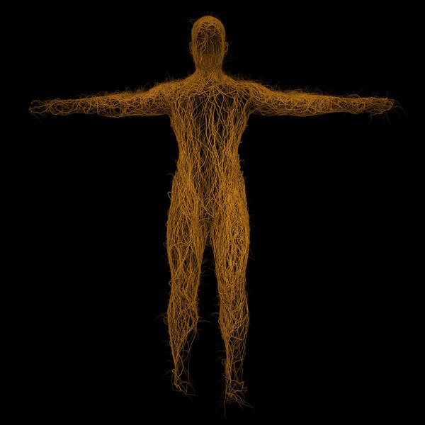 Anatomy Plant 3D Models for Download | TurboSquid