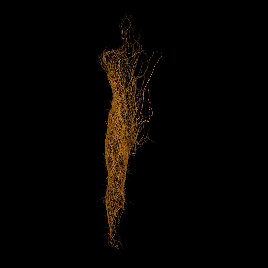 3D model rigged ivy human - TurboSquid 1599881
