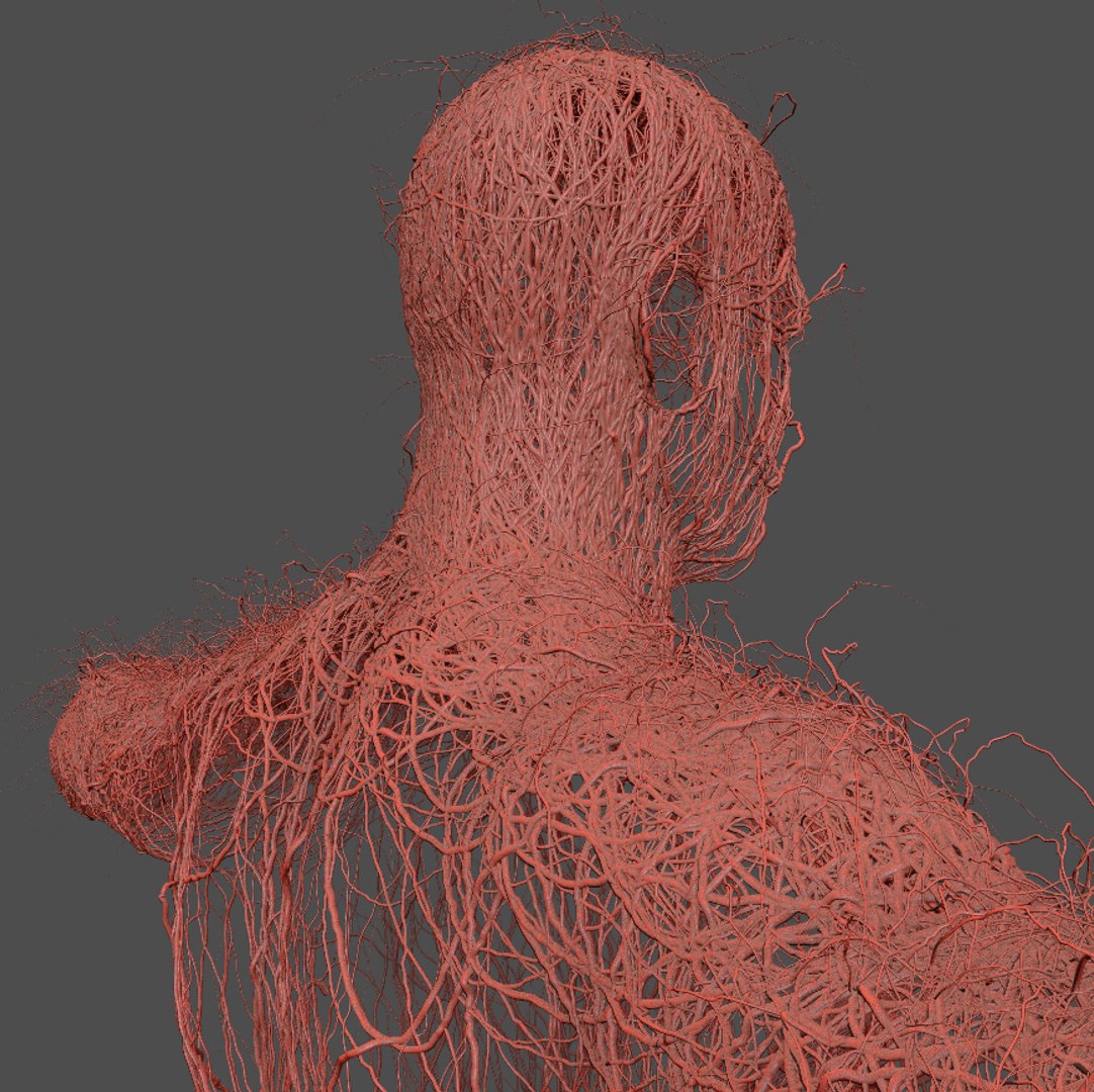 3D model rigged ivy human - TurboSquid 1599881