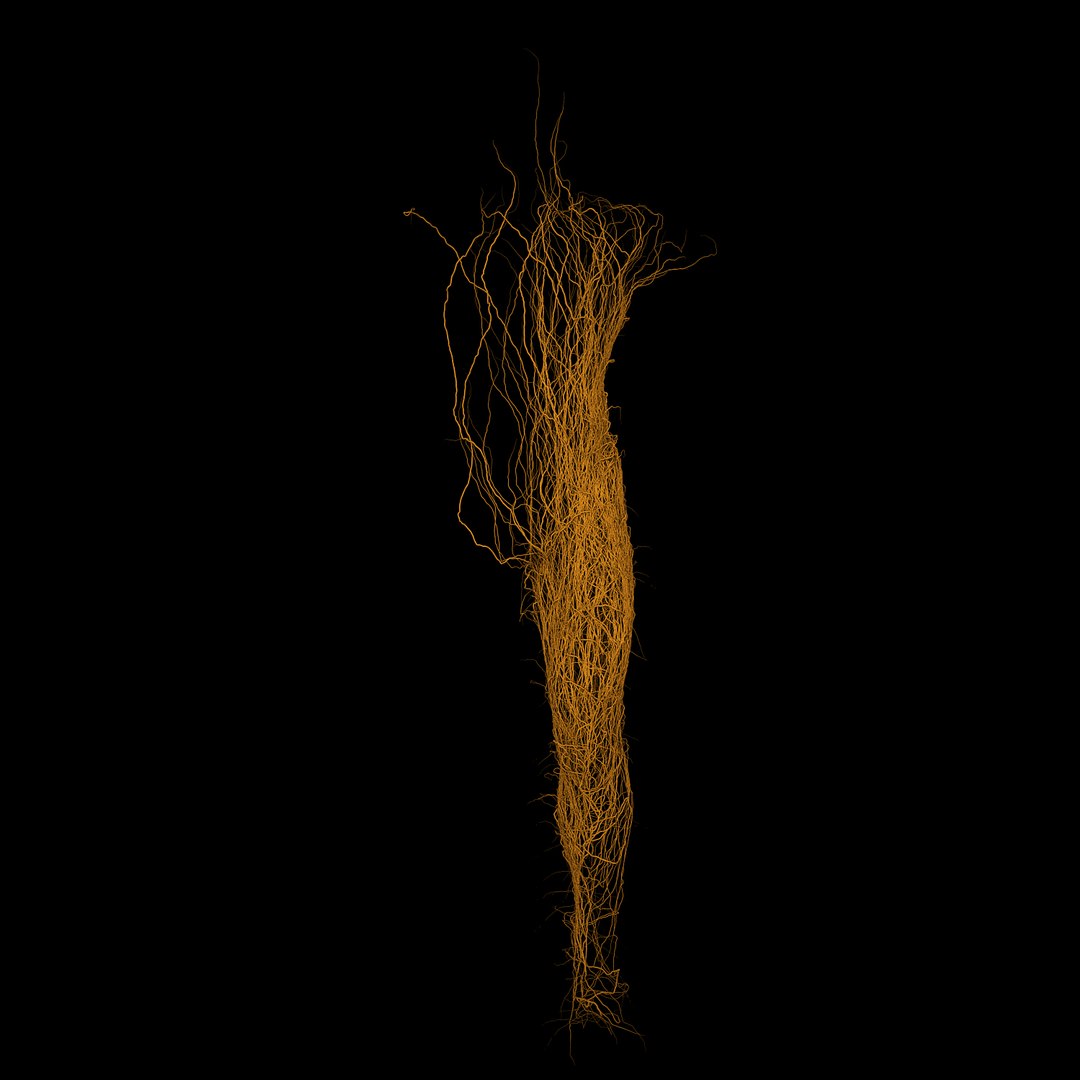 3D model rigged ivy human - TurboSquid 1599881