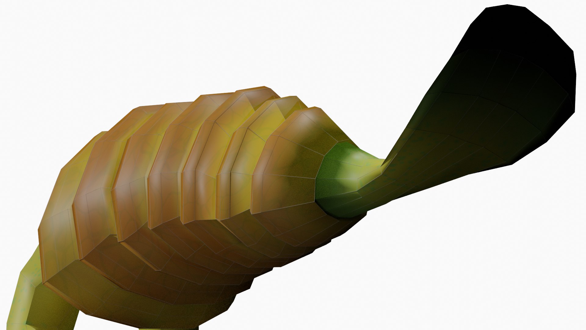 3D Manatee-shell Model - TurboSquid 2099714