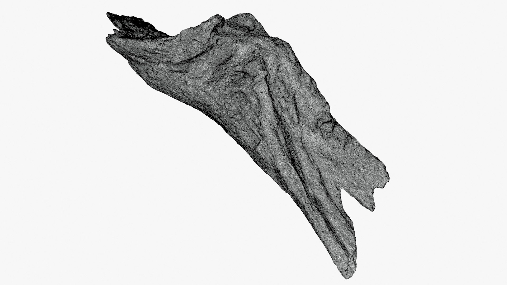 3D Model Broken Tree Trunk 01 3D Print - TurboSquid 2274938
