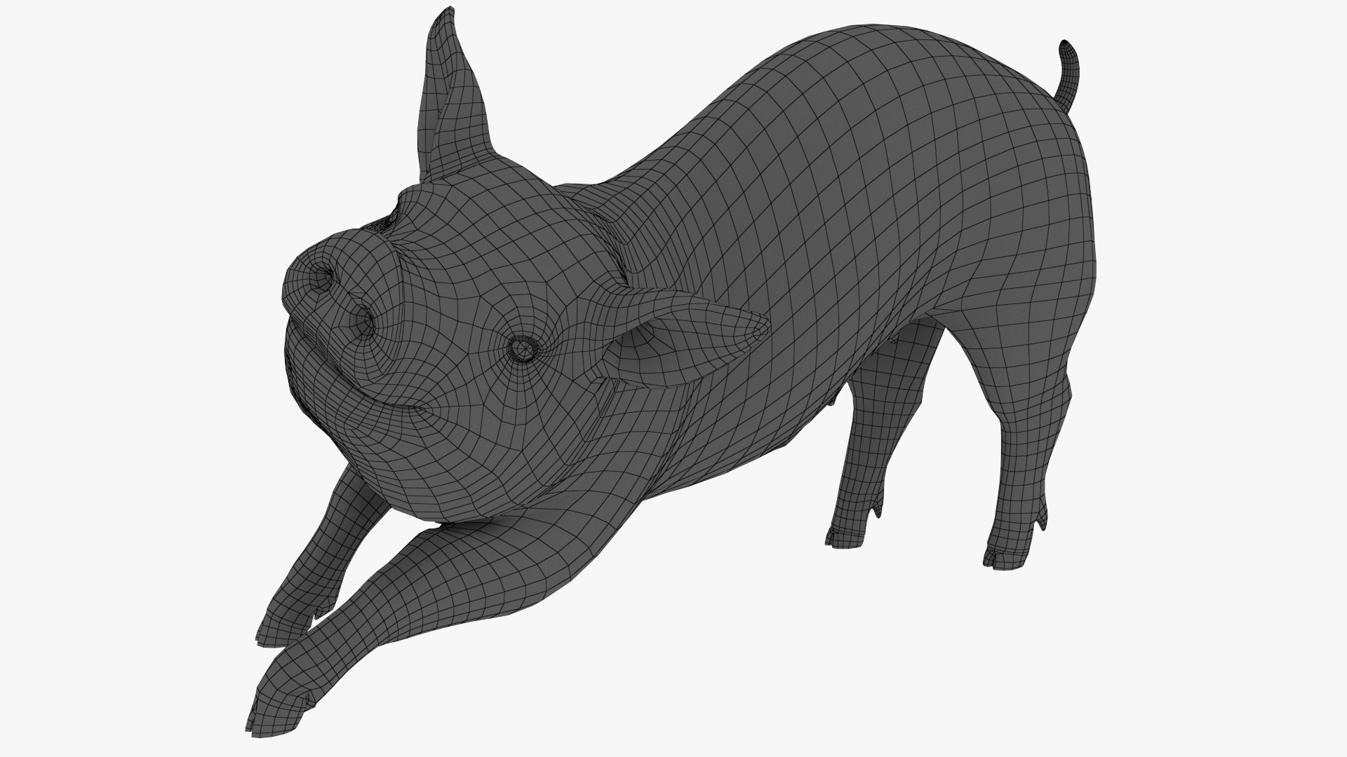 3D Pig Model - TurboSquid 1755973