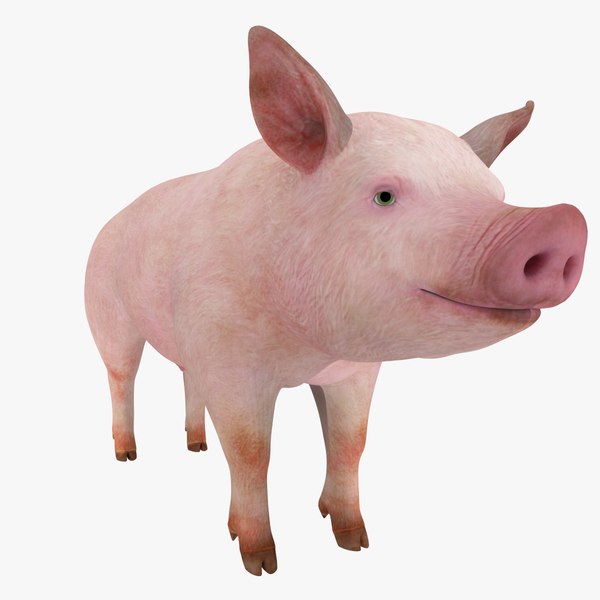 Pig 3D Models for Download | TurboSquid