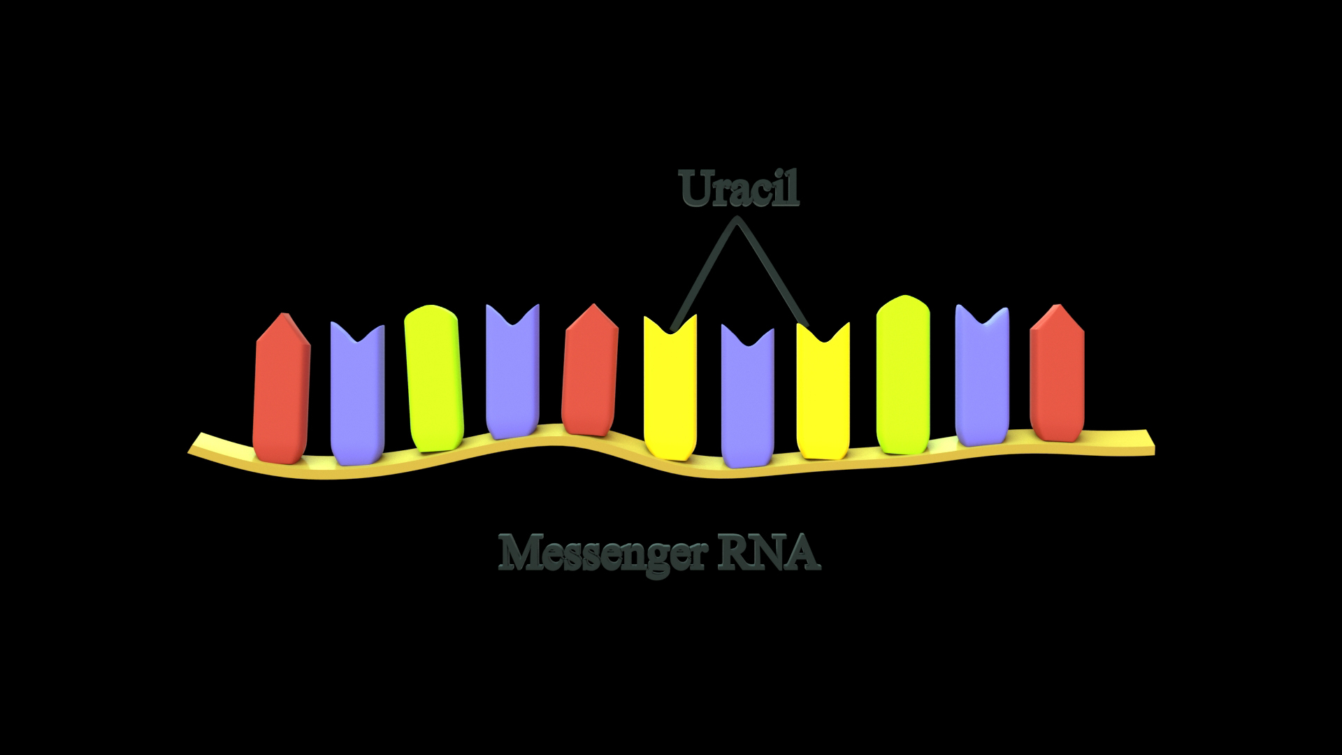 3D Messenger RNA - TurboSquid 2172869