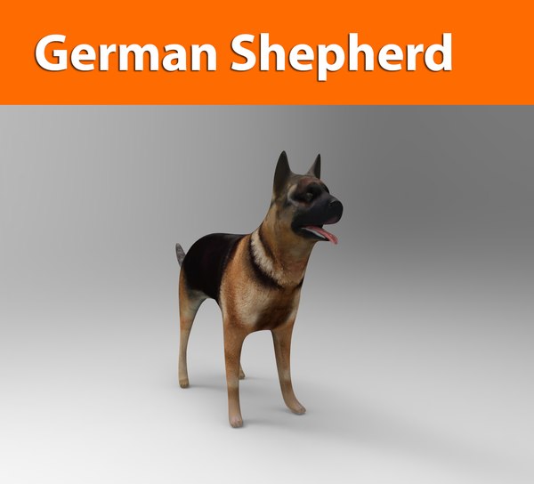 german shepherd dog max