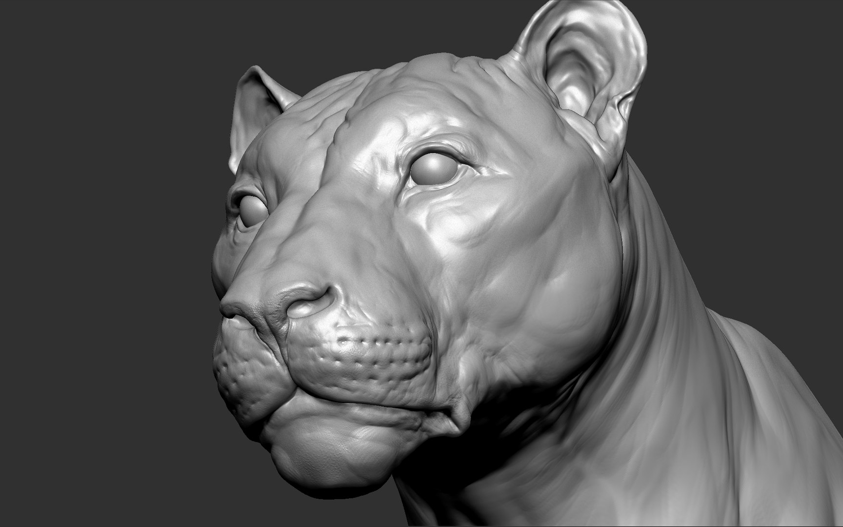 Tiger Vfx Zbrush Sculpt 3D Model - TurboSquid 1482877