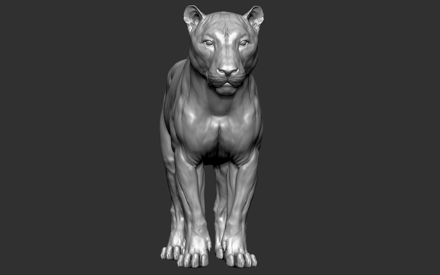 Tiger vfx zbrush sculpt 3D model - TurboSquid 1482877