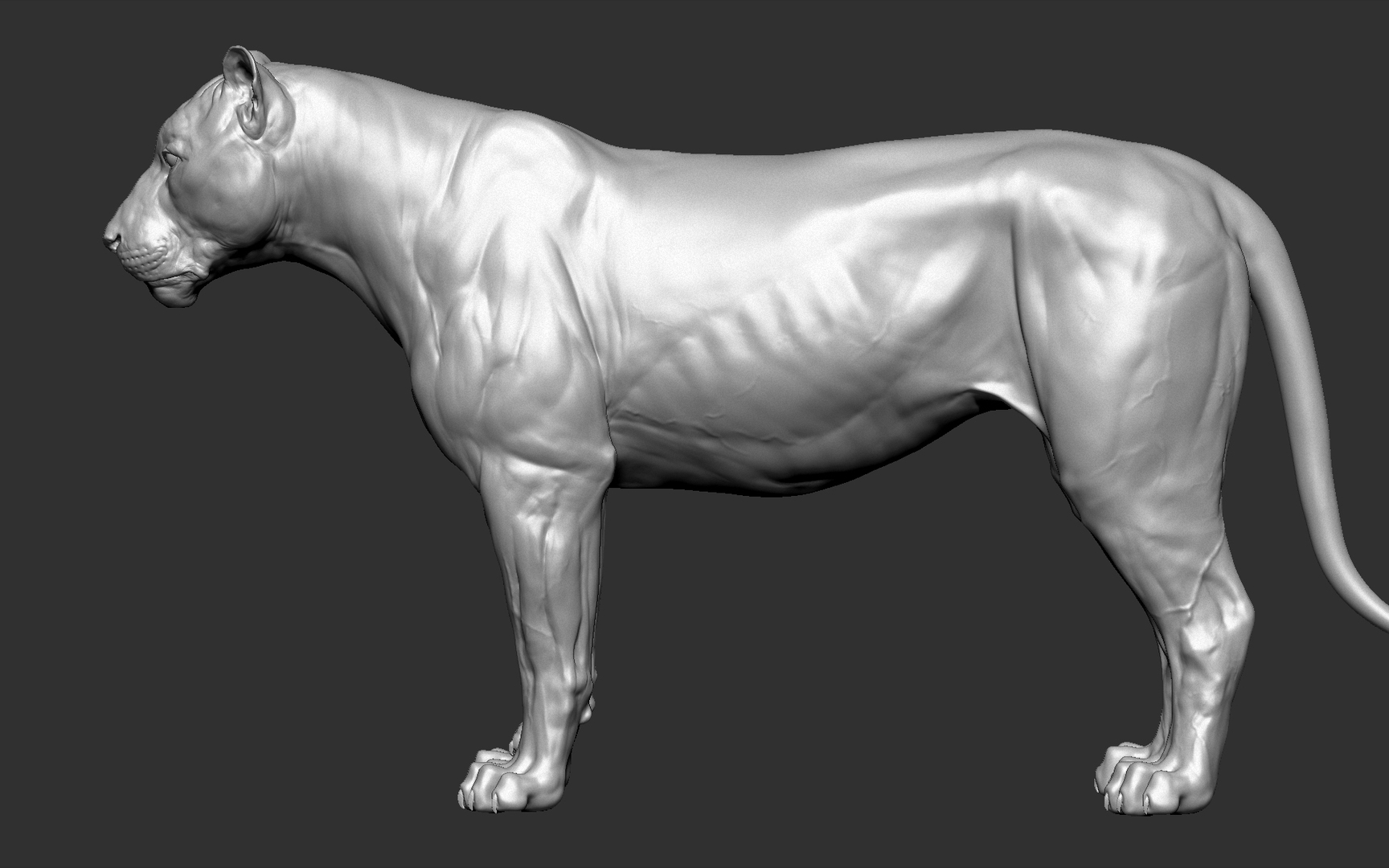 Tiger vfx zbrush sculpt 3D model - TurboSquid 1482877