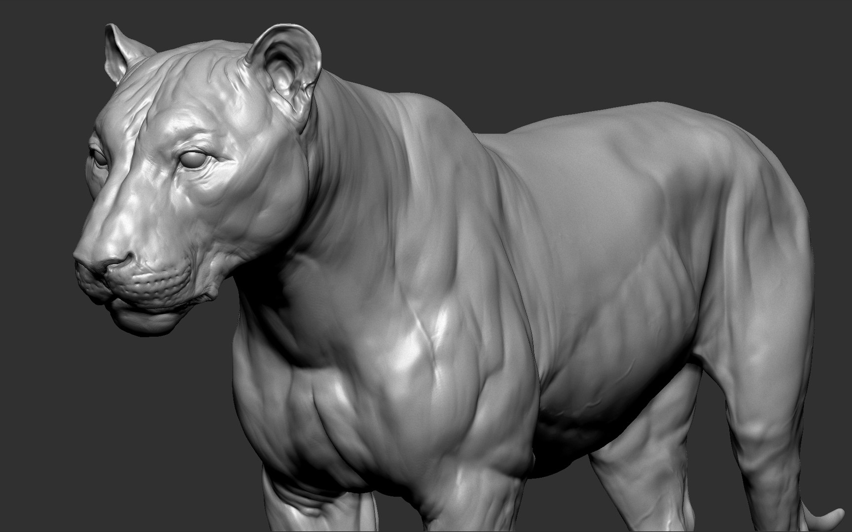 Tiger Vfx Zbrush Sculpt 3D Model - TurboSquid 1482877