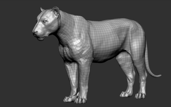 Tiger vfx zbrush sculpt 3D model - TurboSquid 1482877