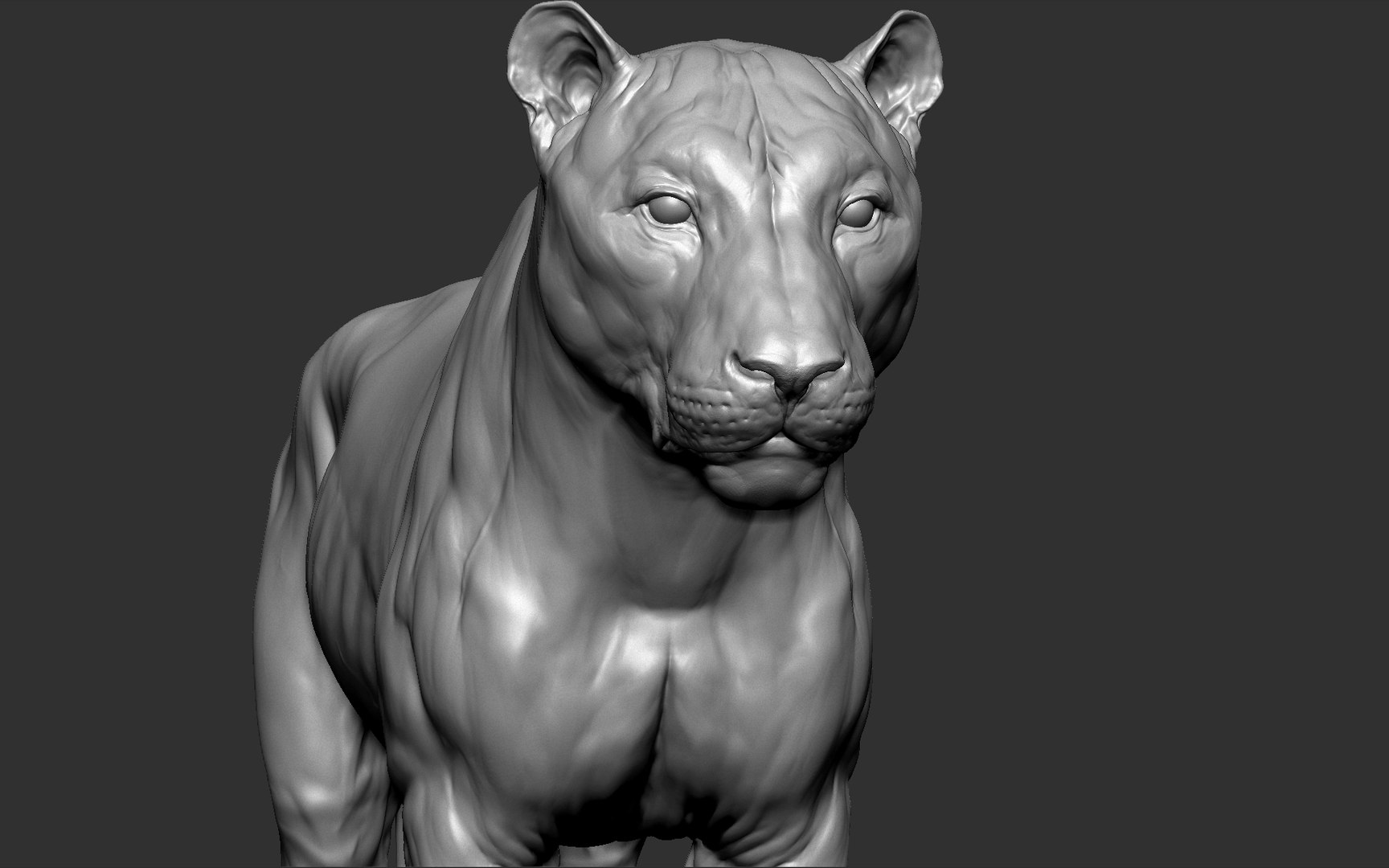 Tiger Vfx Zbrush Sculpt 3D Model - TurboSquid 1482877