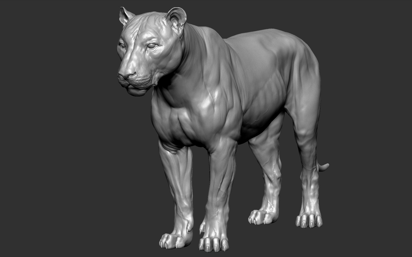 Tiger Vfx Zbrush Sculpt 3D Model - TurboSquid 1482877