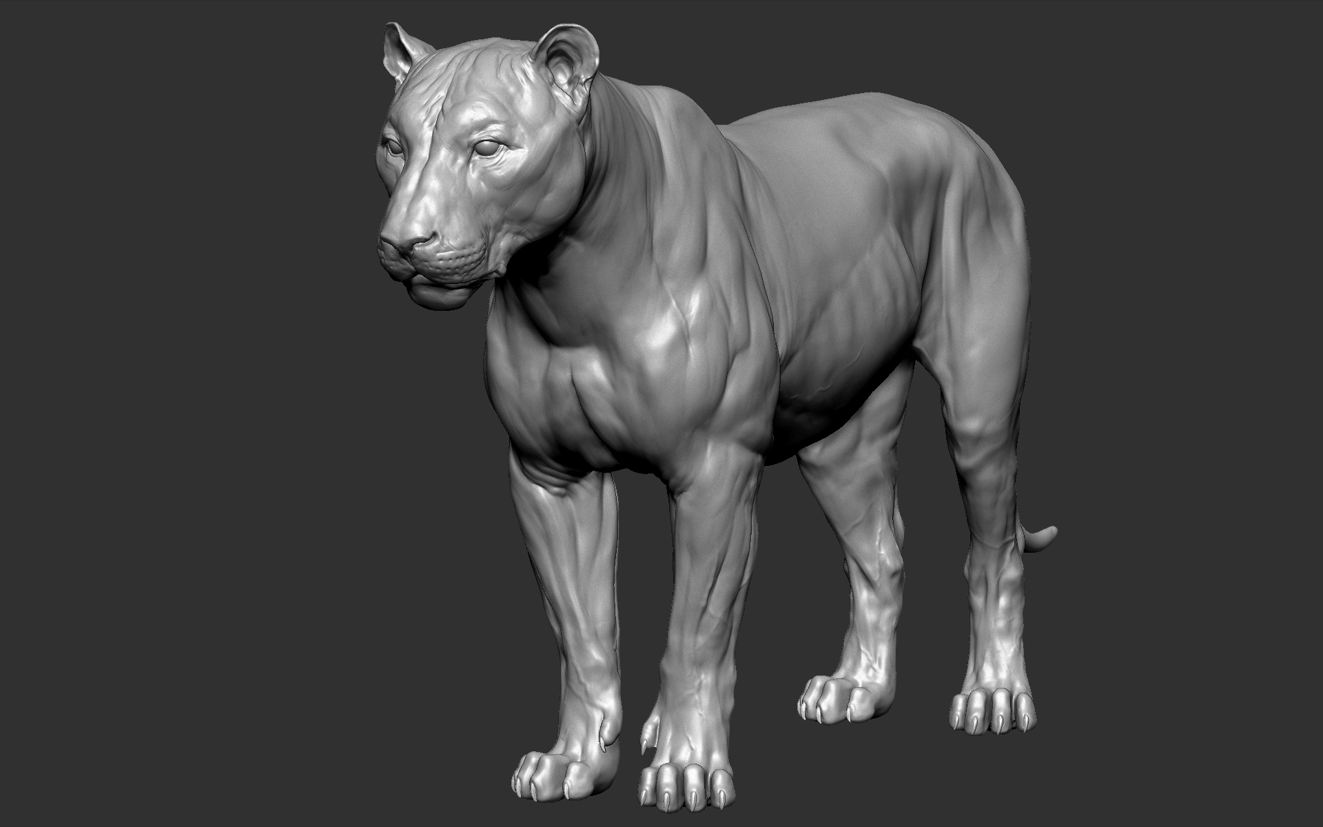 modelo 3d Tiger Vfx Cinematic Realistic Zbrush Sculpt - TurboSquid 1482877