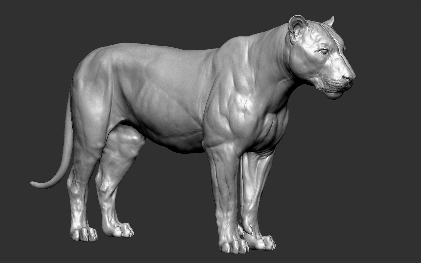Tiger Vfx Zbrush Sculpt 3D Model - TurboSquid 1482877