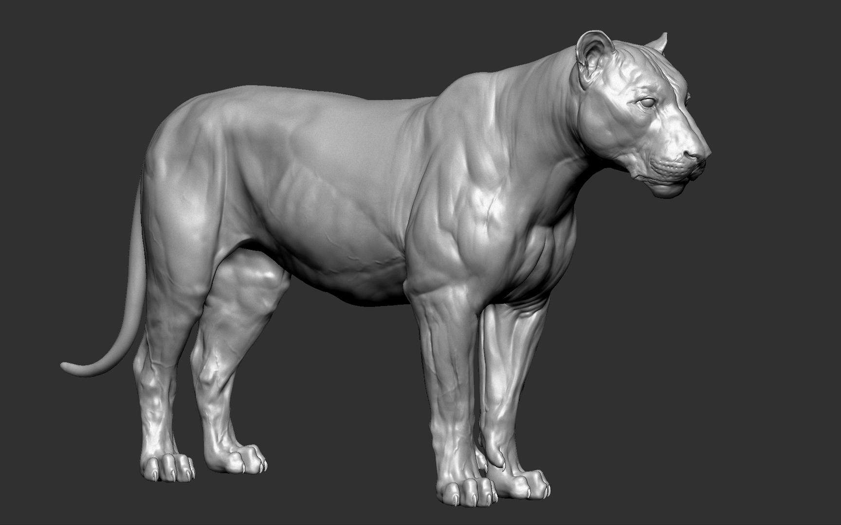 Tiger vfx zbrush sculpt 3D model - TurboSquid 1482877